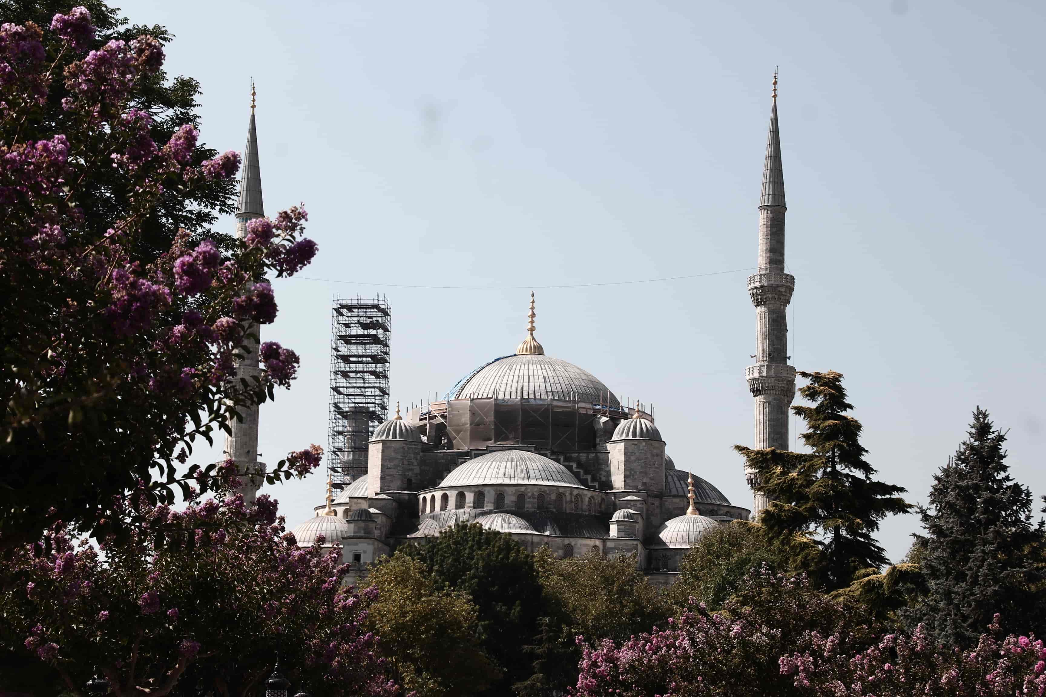 Sisi Gelap Beasiswa Turki! | Ya! Magazine